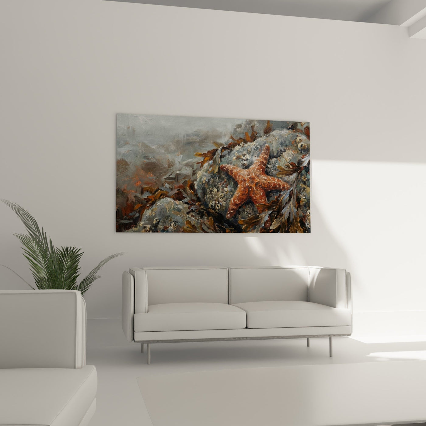 Toile De Mer 7 Lettres